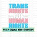 Trans Rights Trans Rights Png Transgender Trans Rights Are Human Rights ...