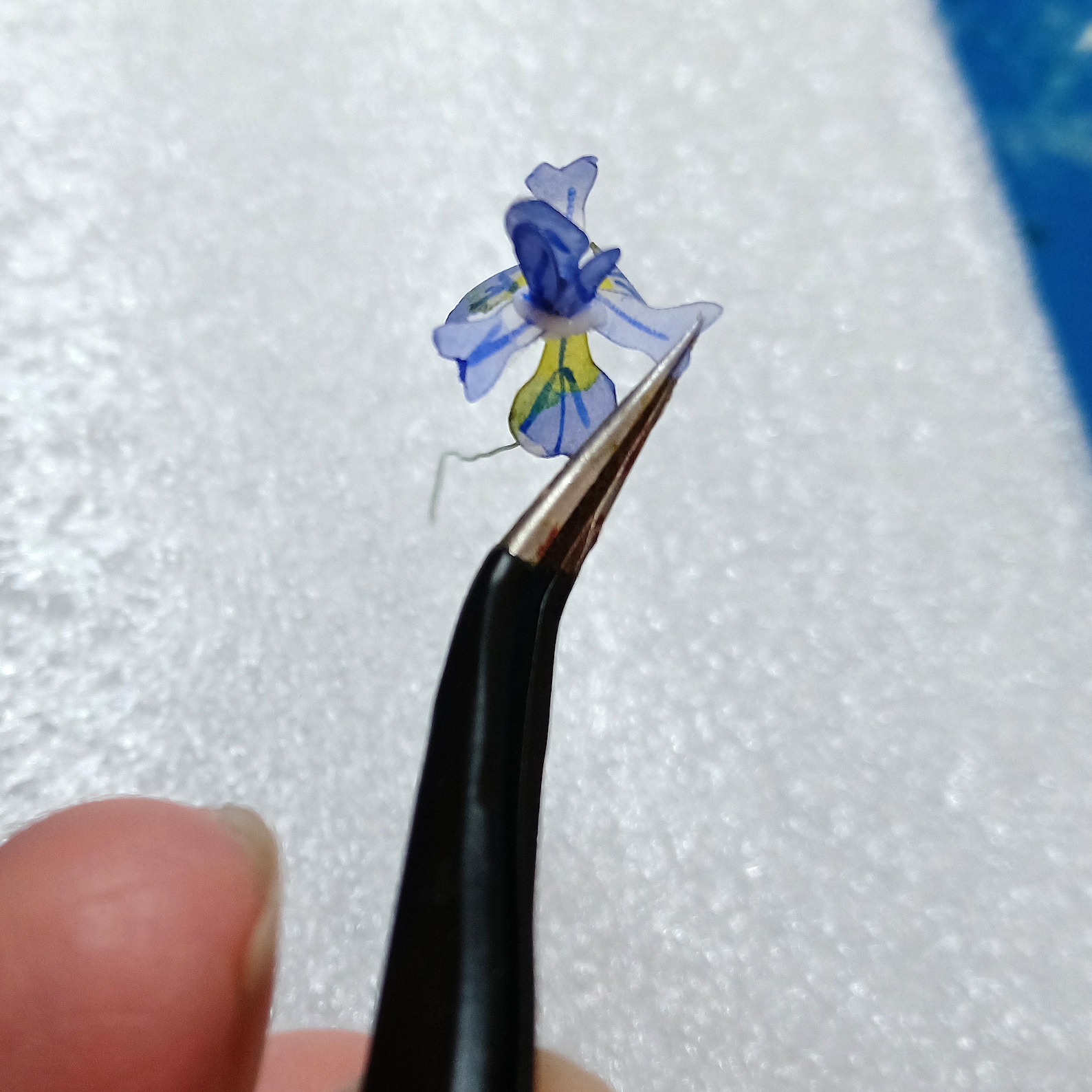 SVG and DXF Files 12th Scale Iris. Instant Digital Download. - Etsy