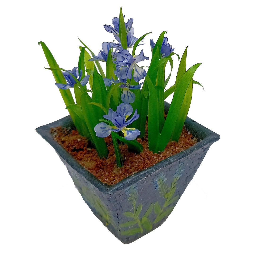 SVG and DXF Files 12th Scale Iris. Instant Digital Download. - Etsy