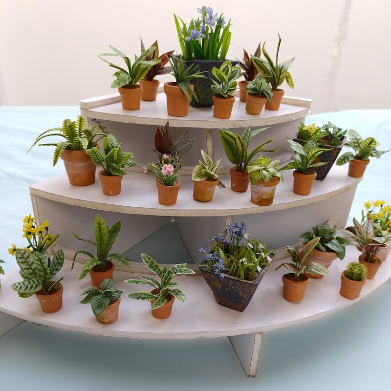 African Violet Stand - Etsy