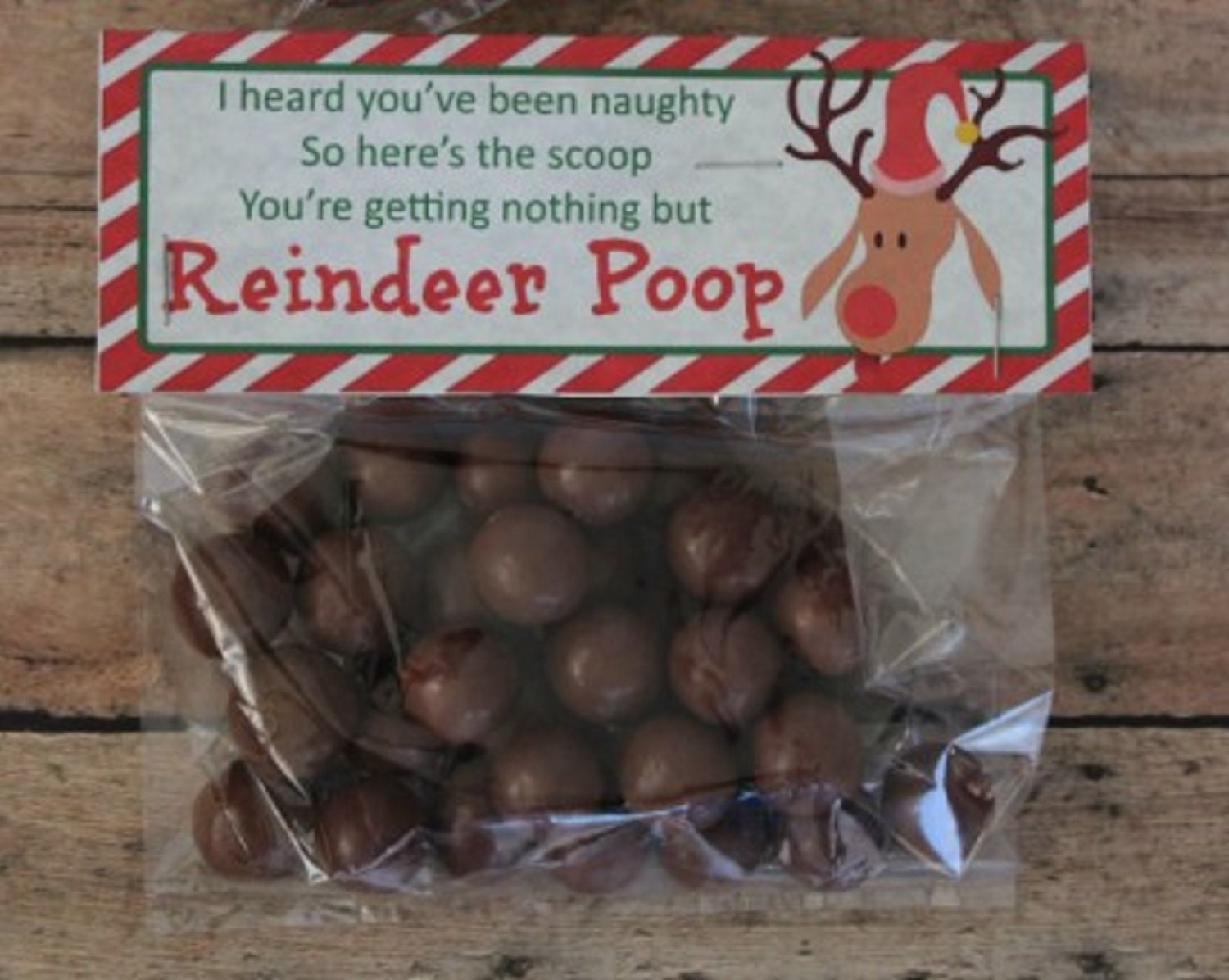 Reindeer Poop