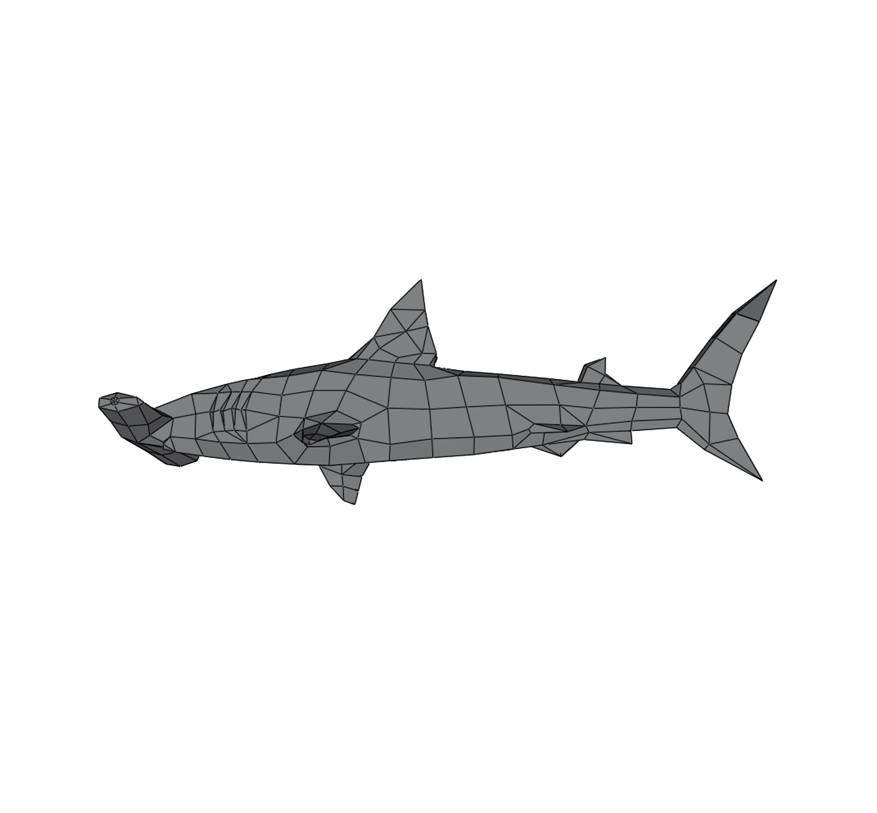 Hammerhead Shark Papercraft PDF Download DIY Gift 3D Low Poly Paper ...