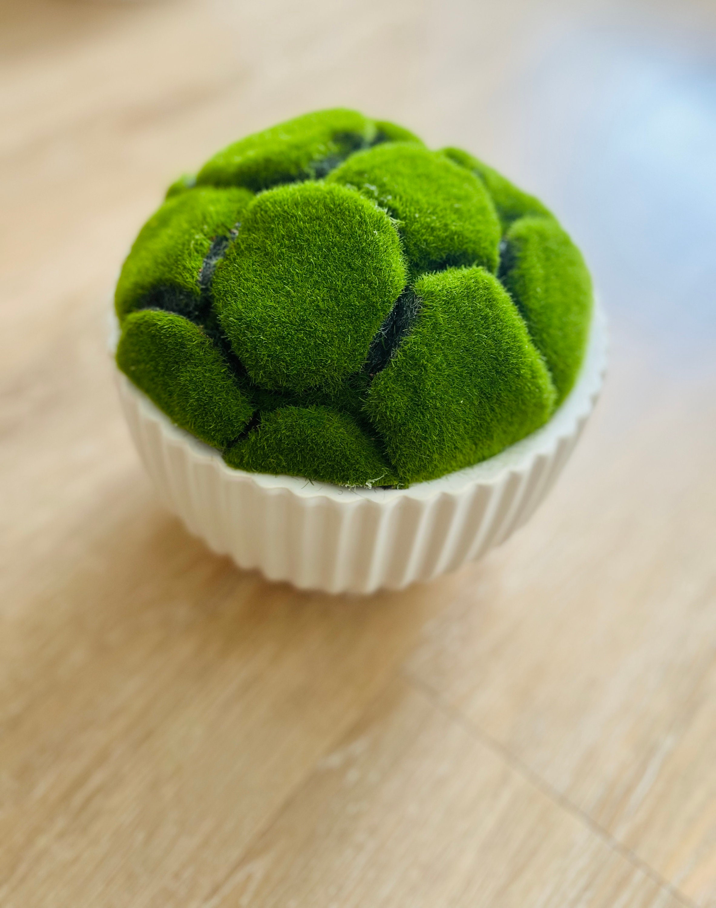 Faux Potted Greenery Decor | Potted Moss | Minimalist Garden Decor ...