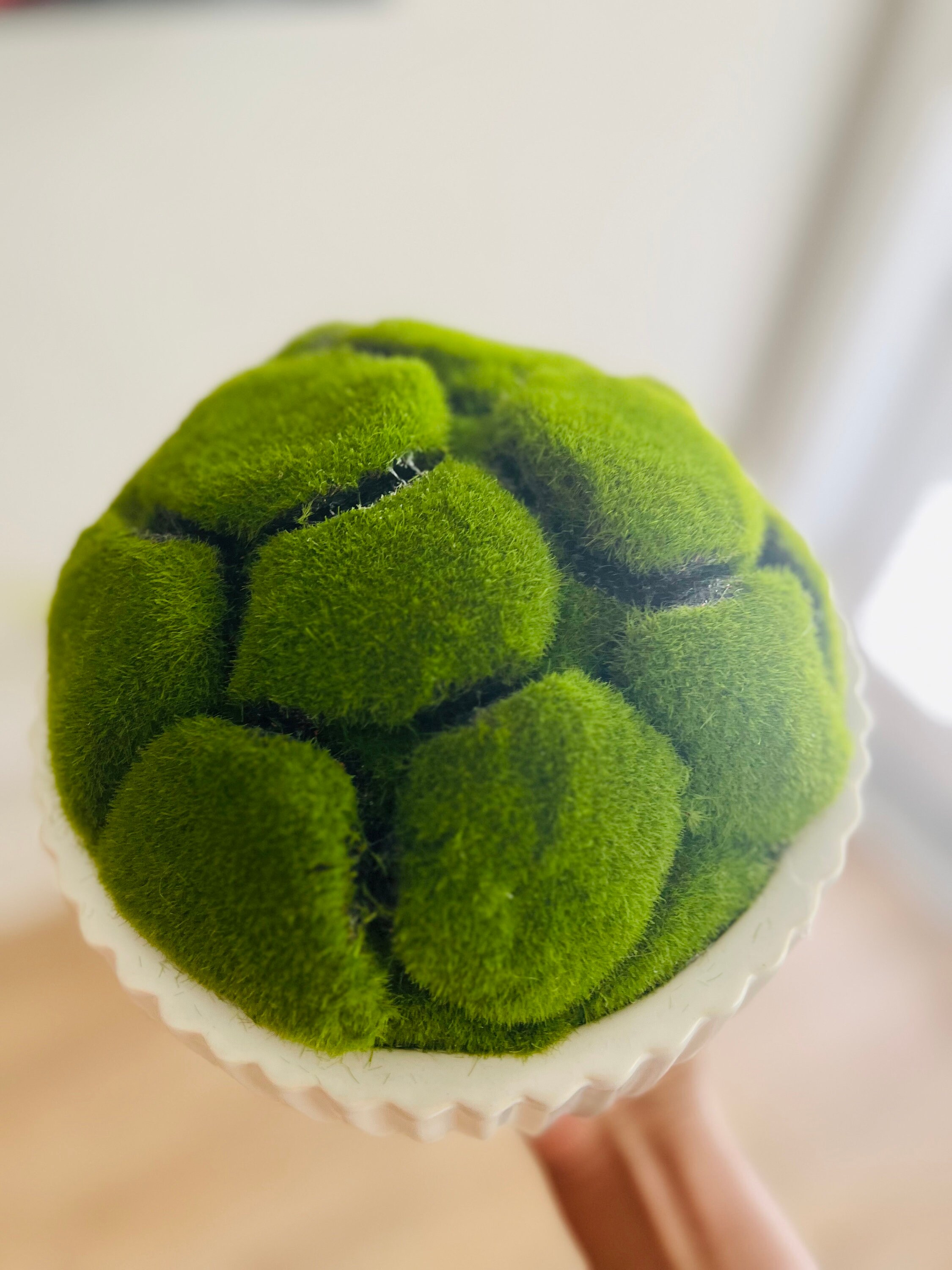 Faux Potted Greenery Decor | Potted Moss | Minimalist Garden Decor ...