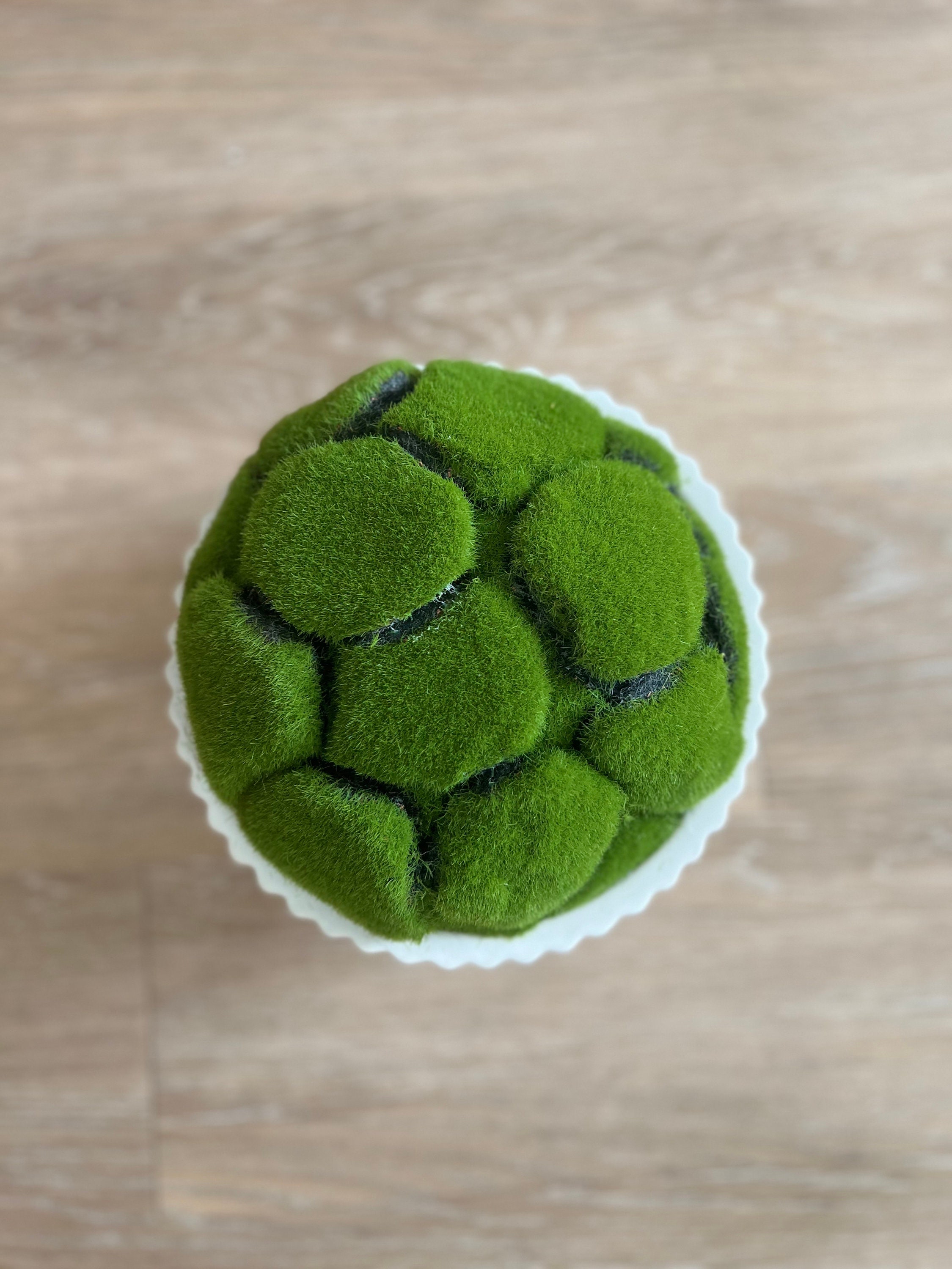 Faux Potted Greenery Decor | Potted Moss | Minimalist Garden Decor ...