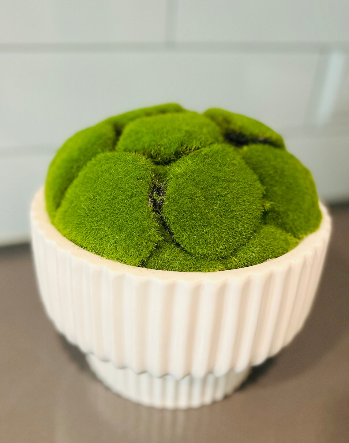 Faux Potted Greenery Decor | Potted Moss | Minimalist Garden Decor ...