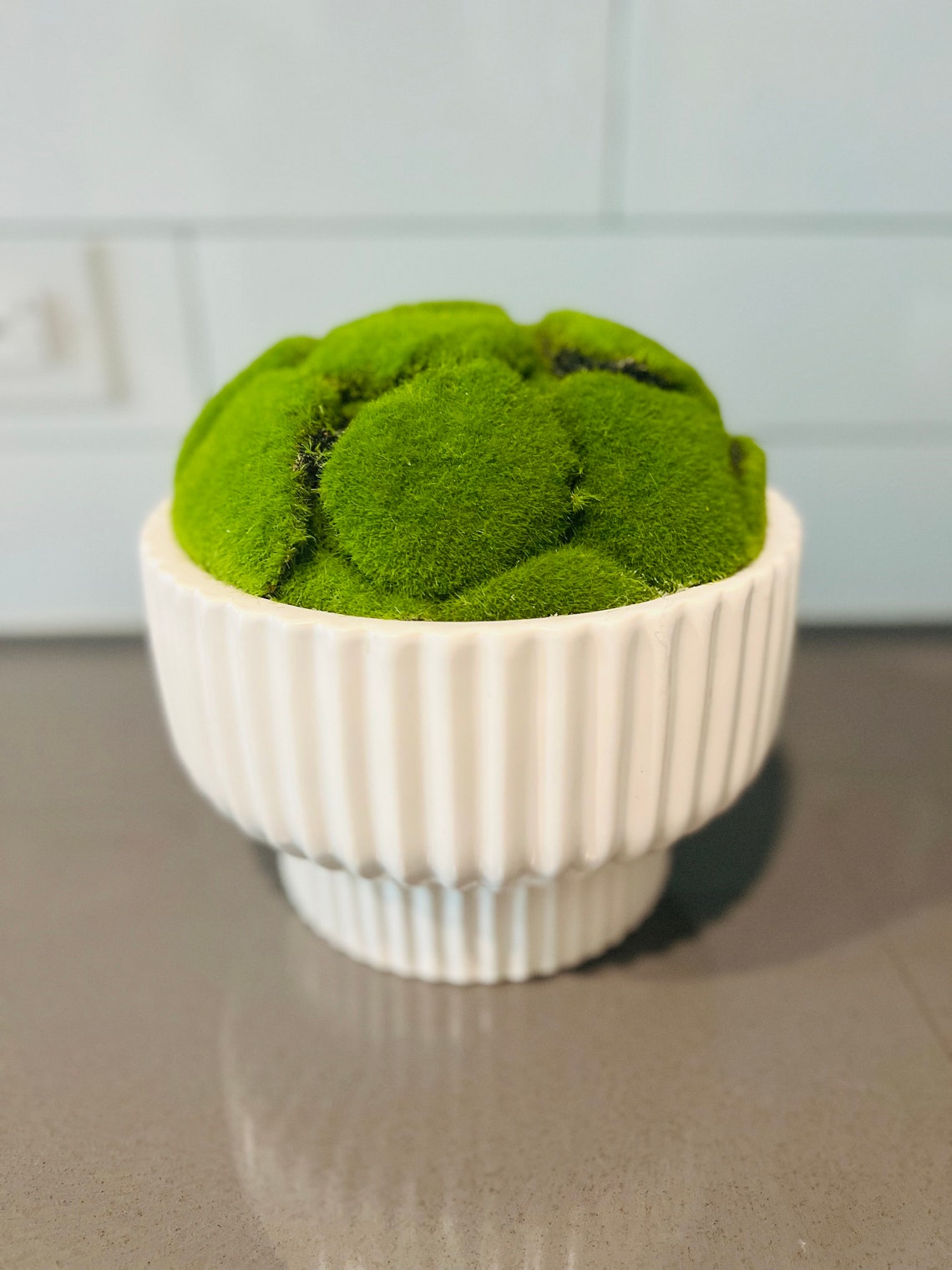 Faux Potted Greenery Decor | Potted Moss | Minimalist Garden Decor ...