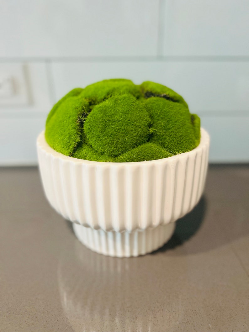 Faux Moss Potted Plant | Minimalist Ceramic Planter - Etsy