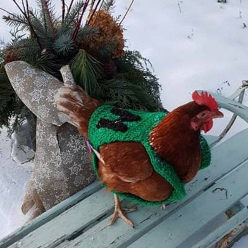 Clothes for Chickens - Etsy