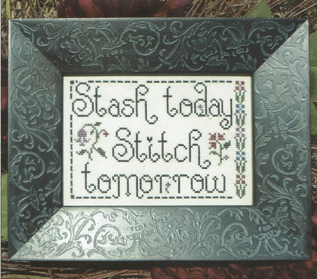 Stash Today, Stitch Tomorrow by My Big Toe Counted Cross Stitch Pattern ...