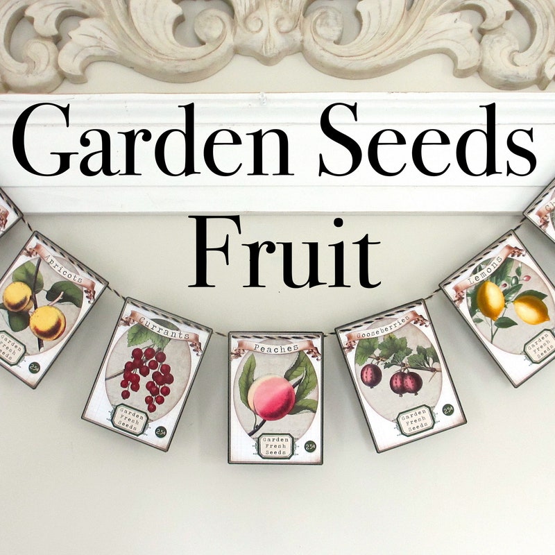 Fruit Garlands - Etsy