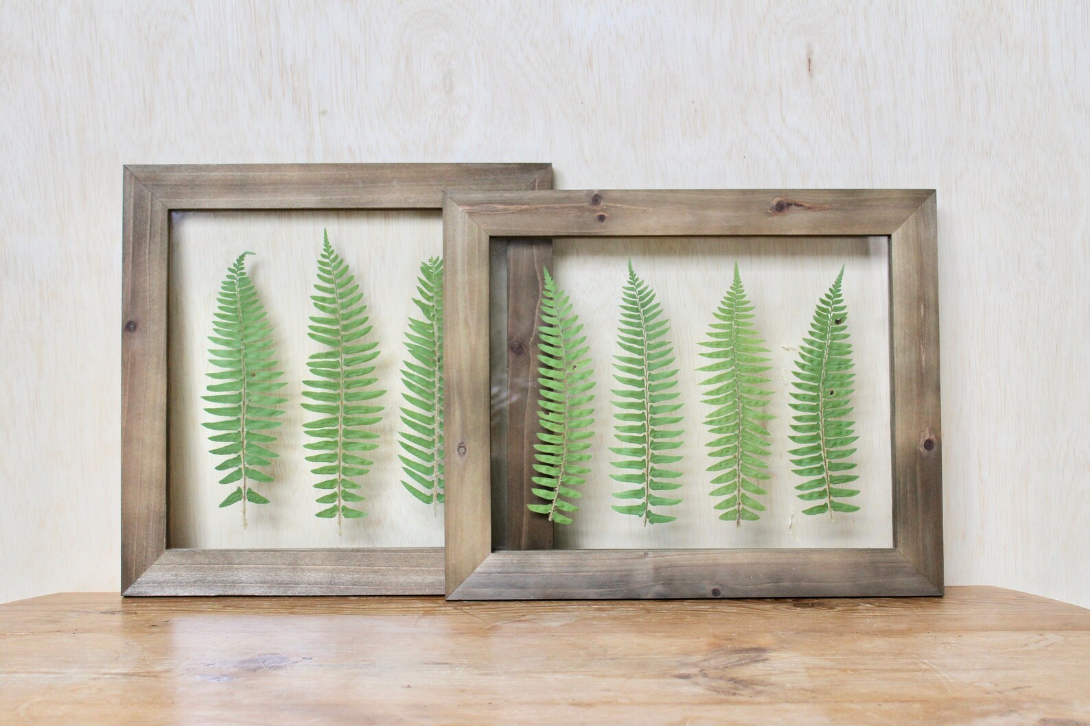 Pressed Fern Framed Botanical Art Green Fern Decor Rustic - Etsy