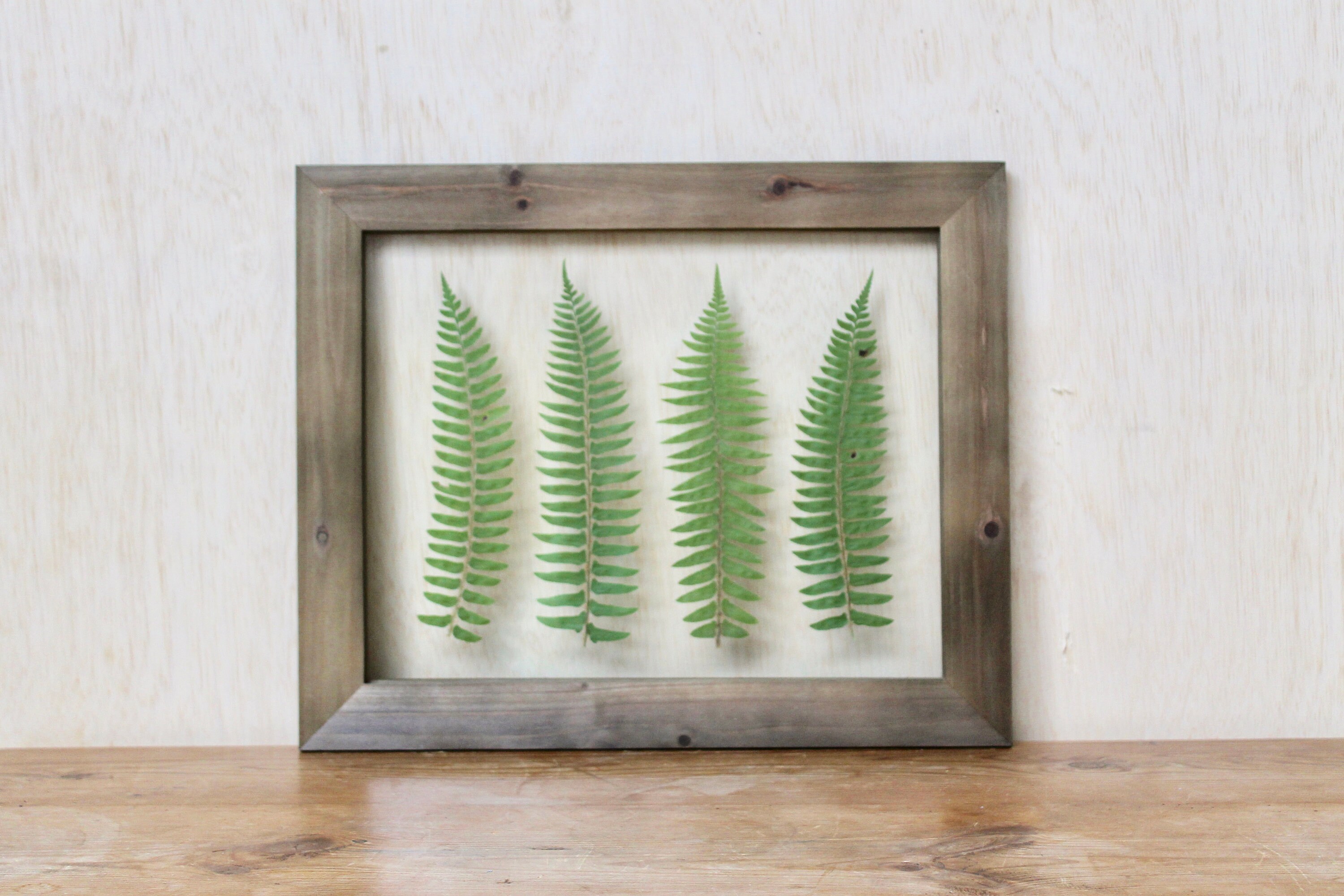 Pressed Fern Framed Botanical Art Green Fern Decor Rustic - Etsy
