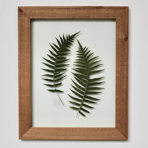 Pressed Plant Frame - Etsy