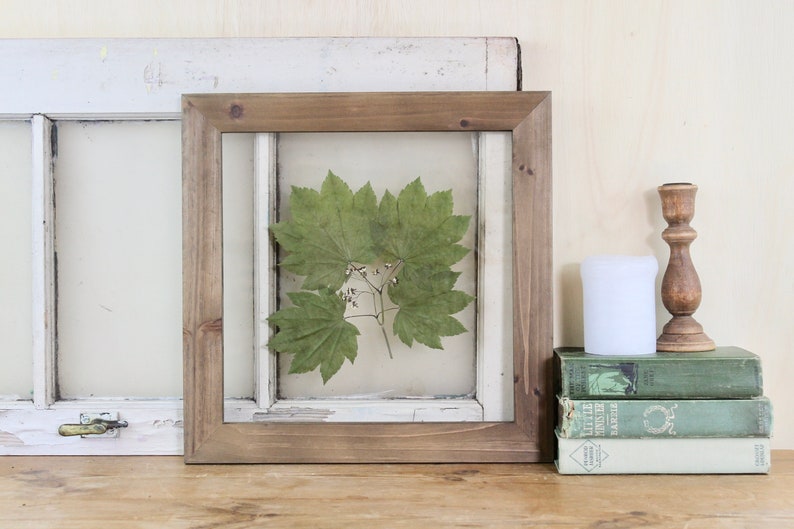 Pressed Maple Leaves Framed Tree Art Pacific Northwest | Etsy
