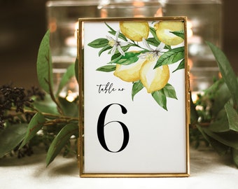 Lemon Table Numbers - Etsy
