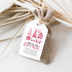 Valentines Day Chocolate Bomb Tag, Gnomes Hot Cocoa Bomb Tag, You're ...