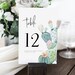 Cactus Table Numbers Printable Table Numbers Template Blush - Etsy