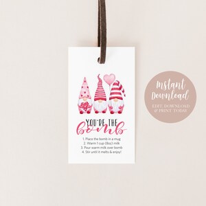 Valentines Day Chocolate Bomb Tag, Gnomes Hot Cocoa Bomb Tag, You're ...
