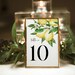 Printable Table Numbers, Lemon Table Numbers, 5x7, 4x6, Templett Table ...