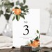 Citrus Table Numbers, Printable Table Numbers Template, Orange Table ...