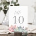 Succulent Table Numbers Template Printable Table Numbers - Etsy