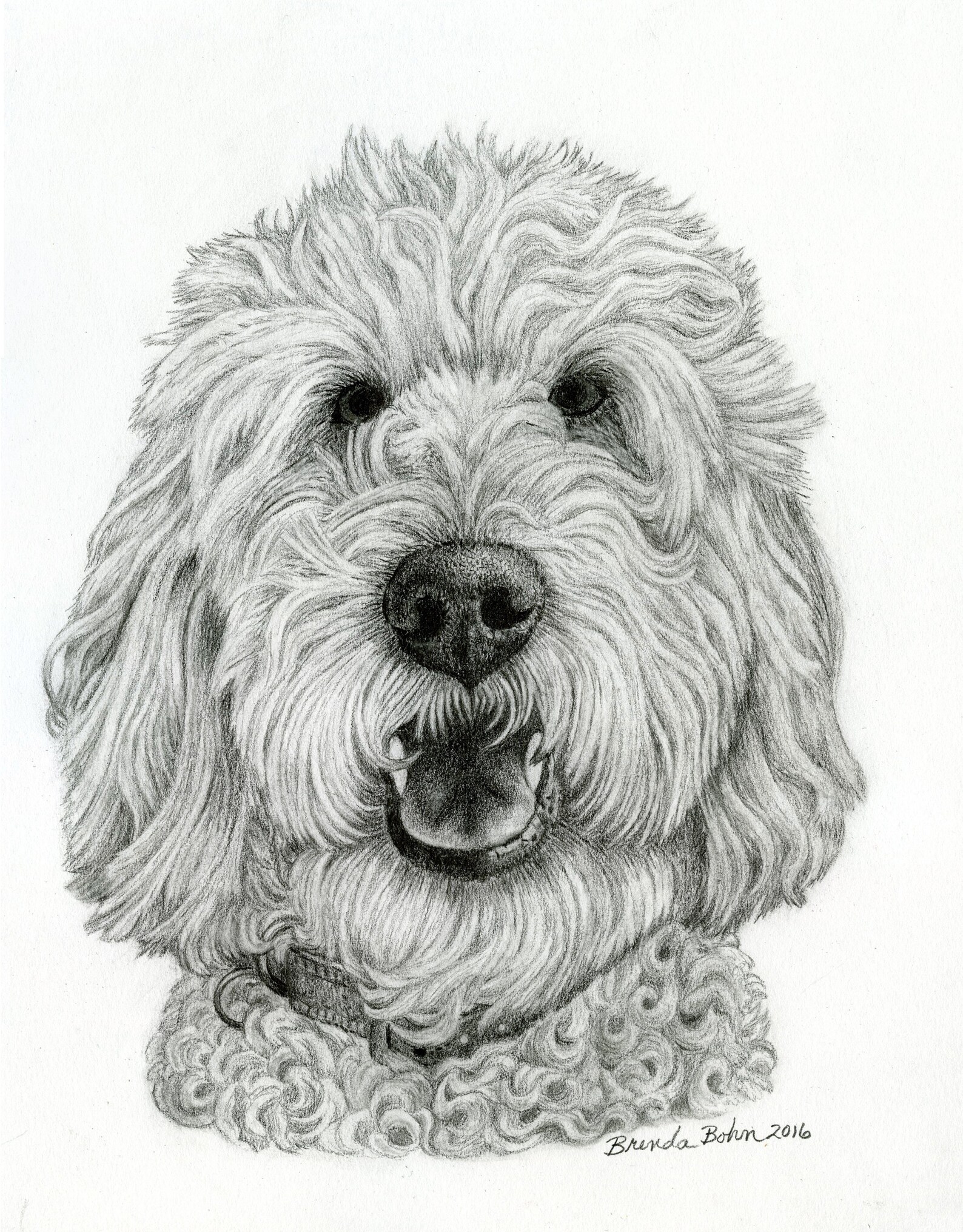 Labradoodle Print - Etsy