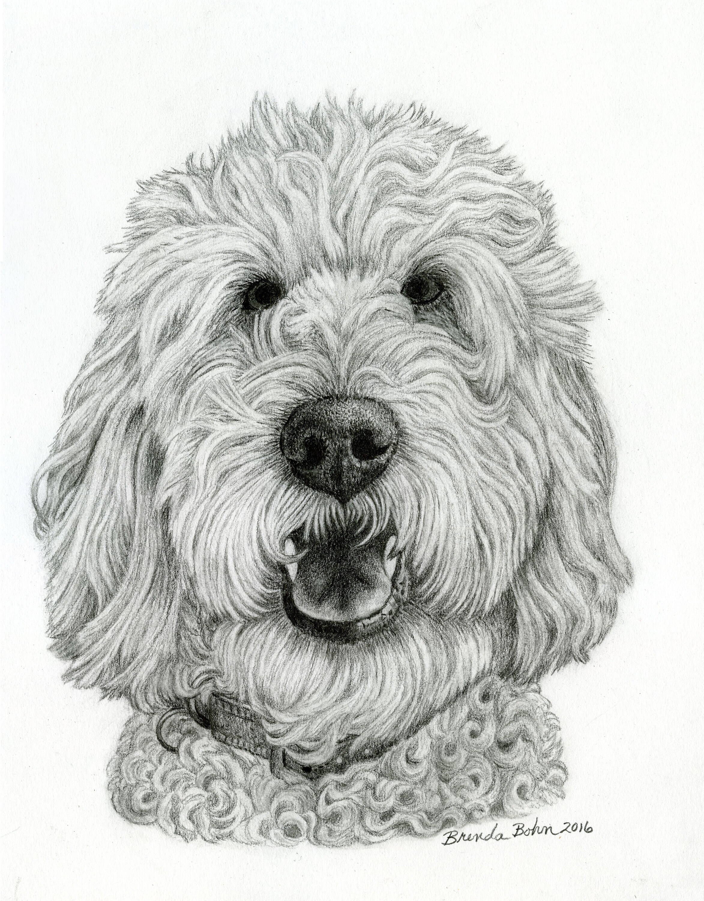 Labradoodle Print - Etsy