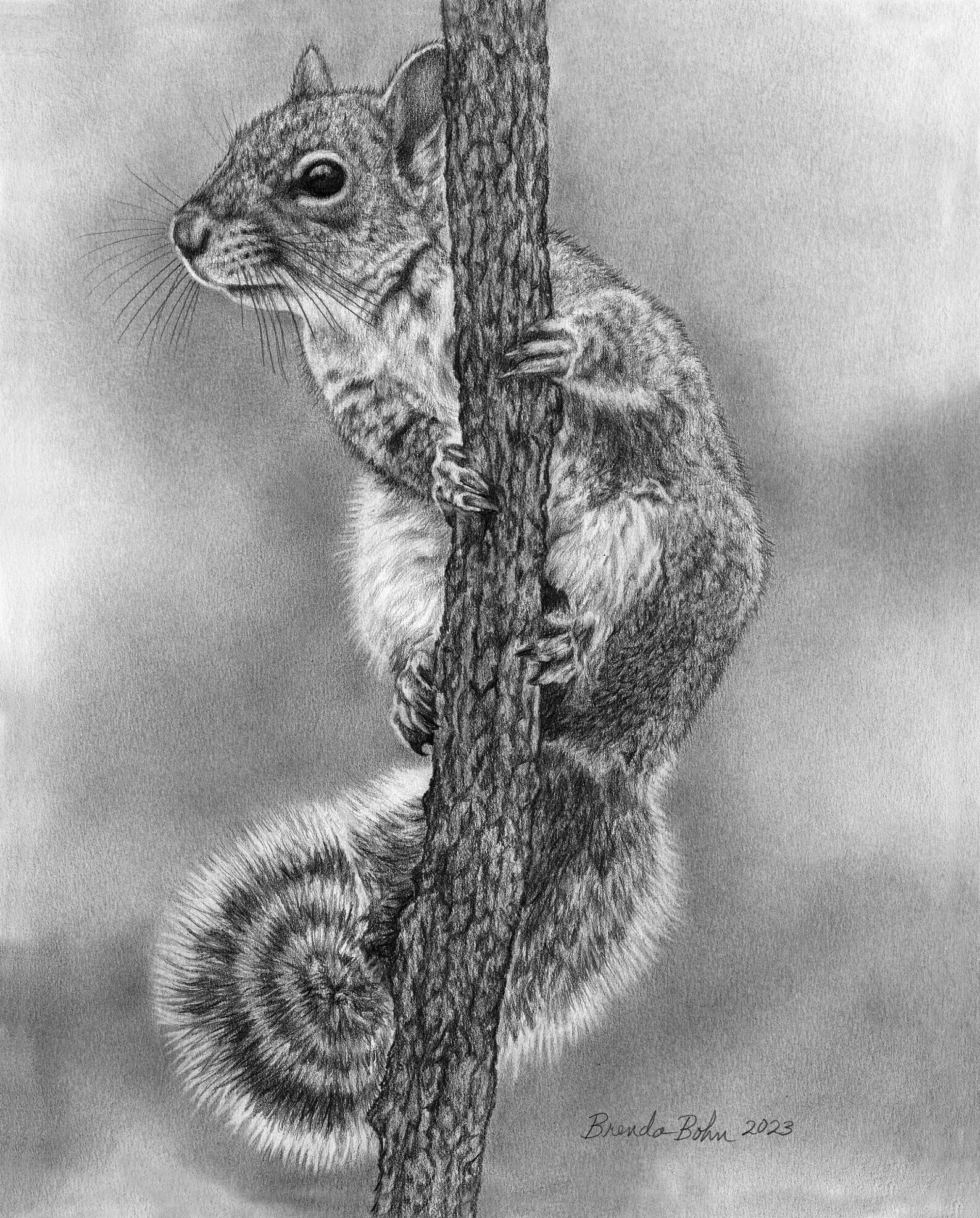 Squirrel Print - Etsy