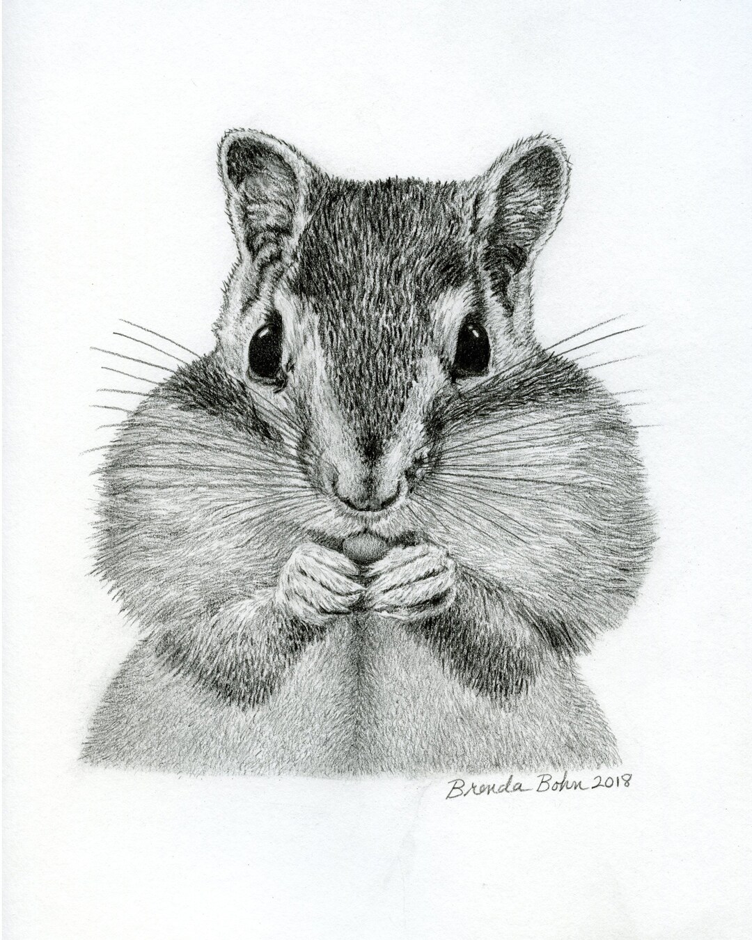 Chipmunk Print - Etsy