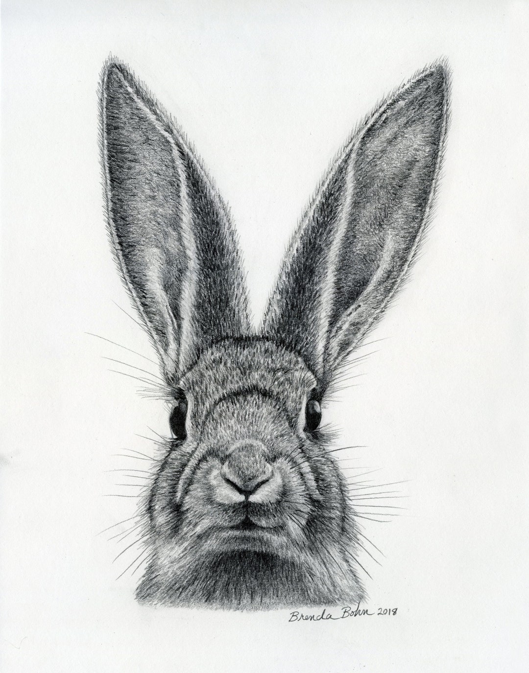 Rabbit Print - Etsy