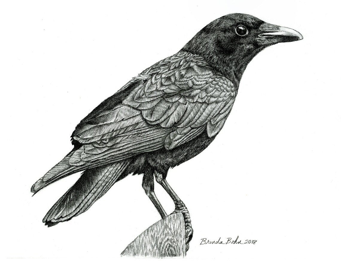 Crow Print - Etsy