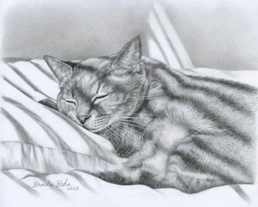 Cat and Blinds Original Drawing - Etsy