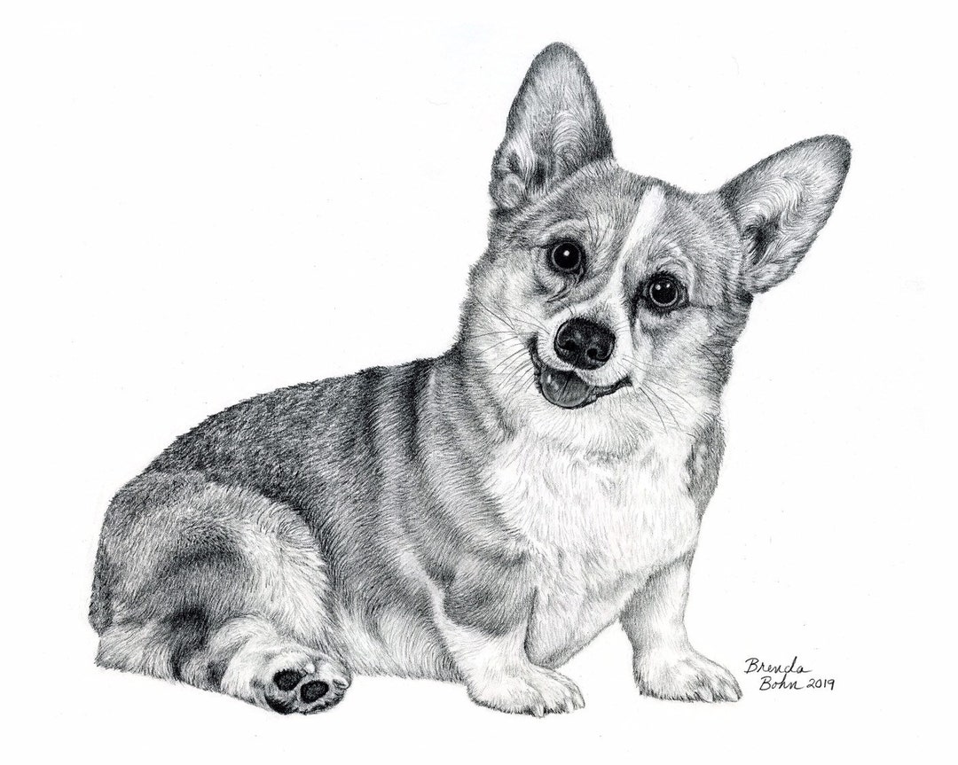 Corgi Original Drawing - Etsy
