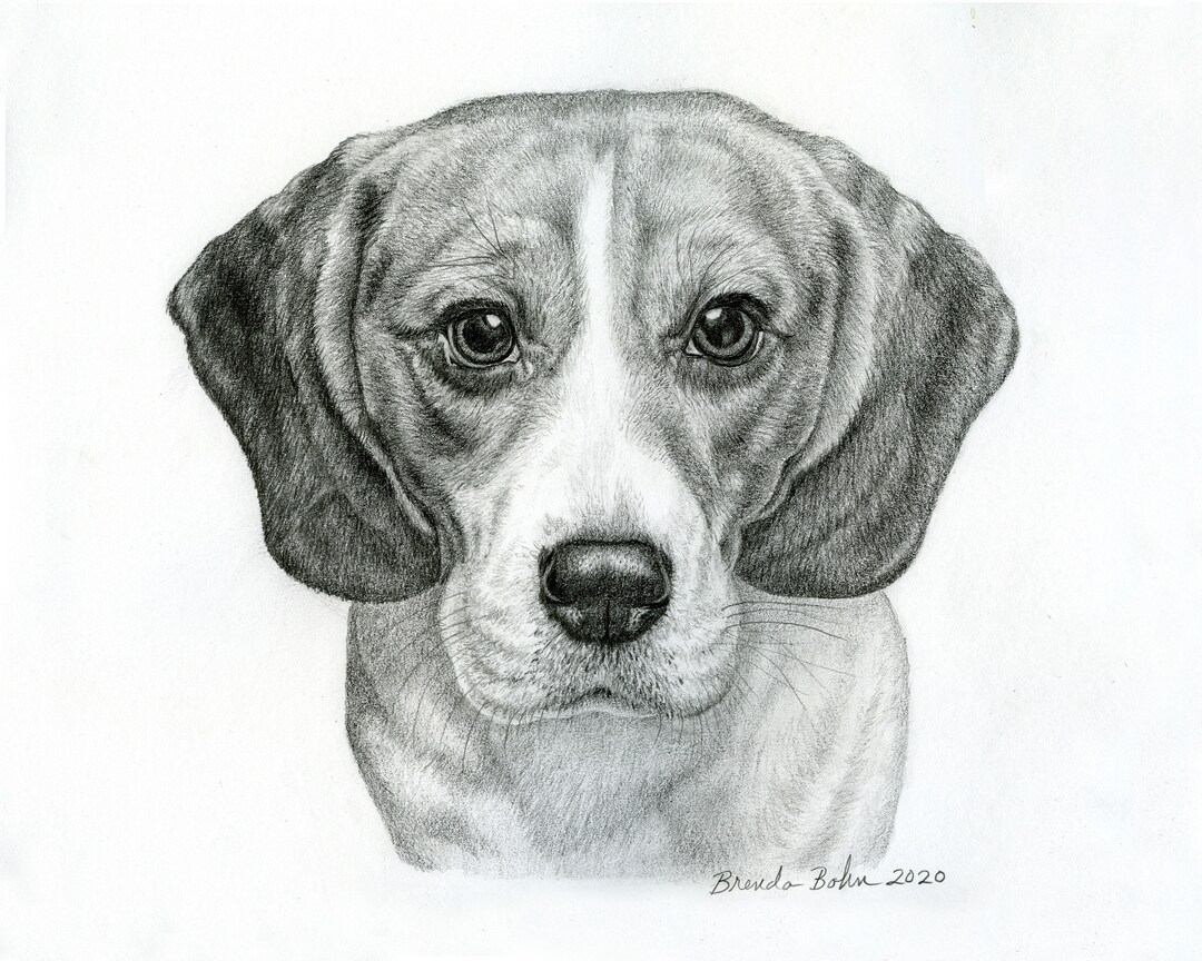 Beagle Original Drawing - Etsy
