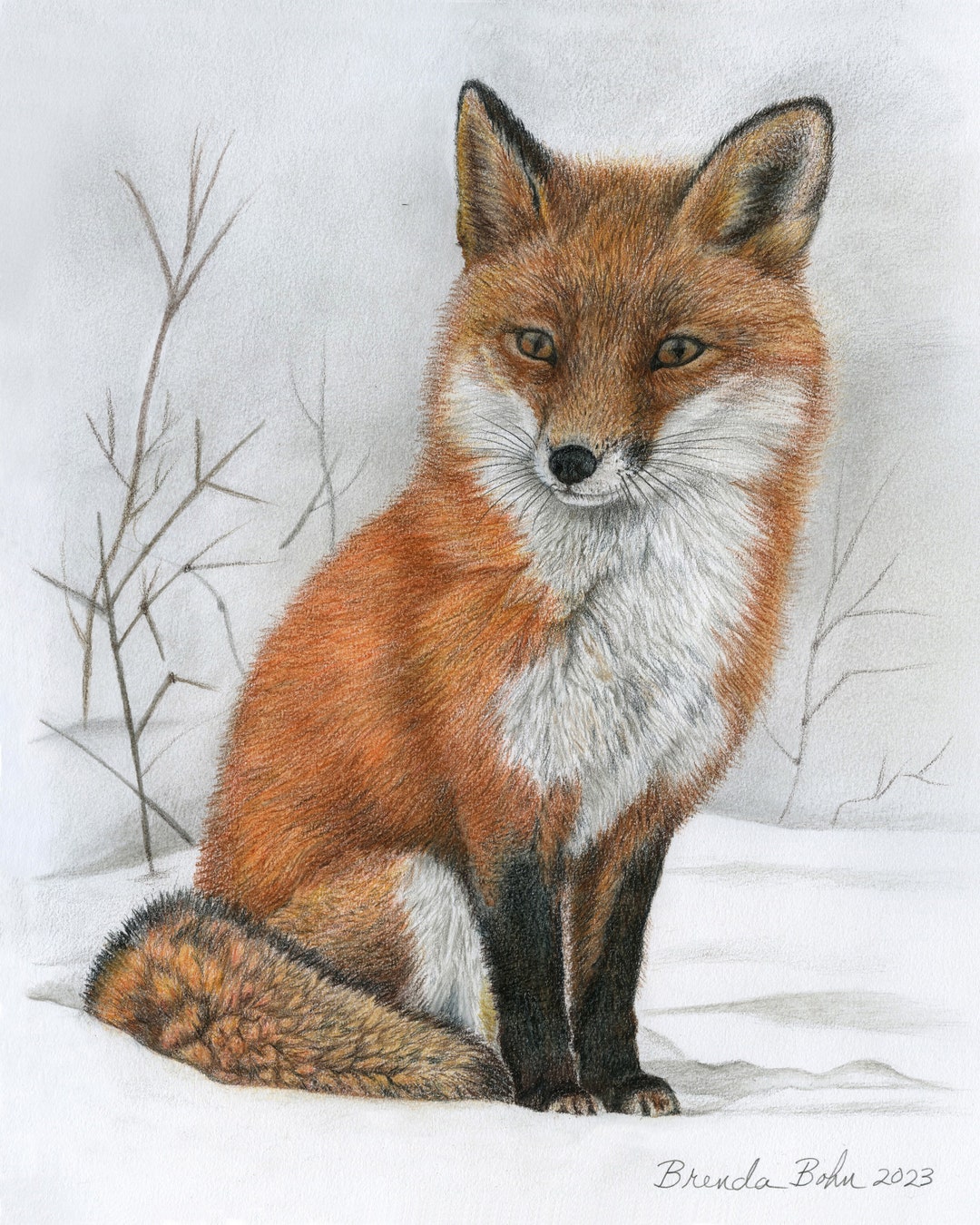 Red Fox Original Drawing - Etsy