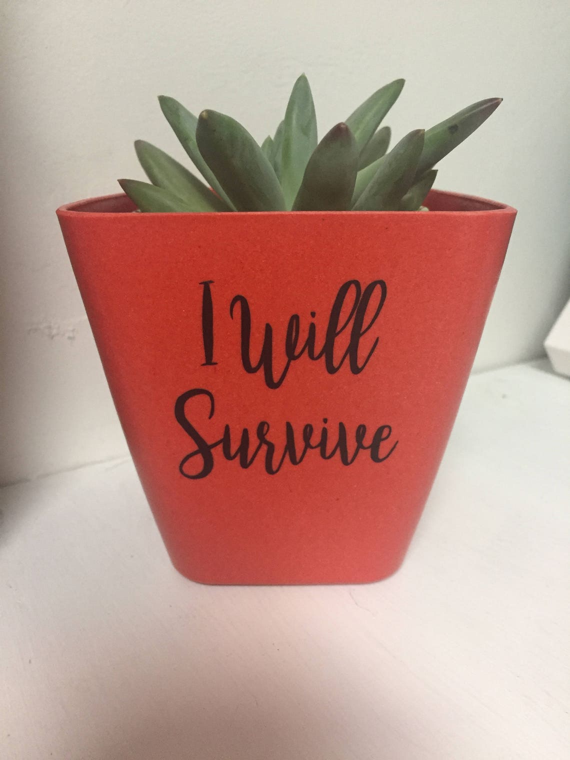 Personalized Flower Pots - Etsy