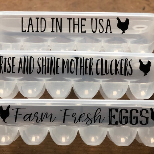 Funny Egg Container Reusable Egg Container Plastic Egg - Etsy