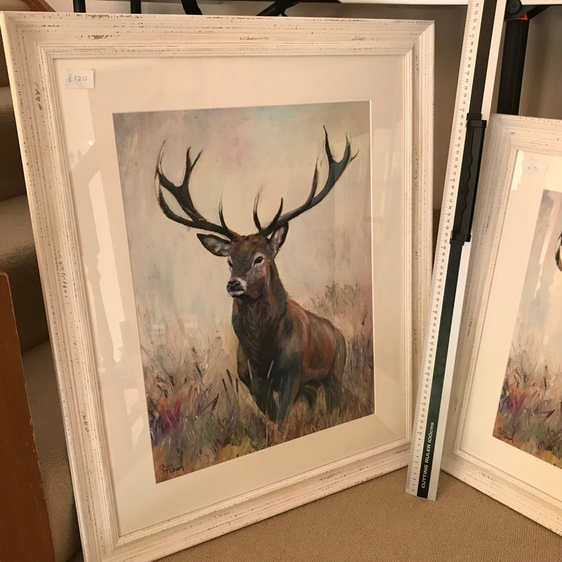 Stag Art, Stag Print, Stag Picture, Deer Art, Deer Print, Deer Picture ...