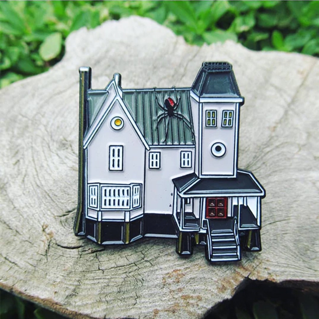 Beetle House Pin - Etsy