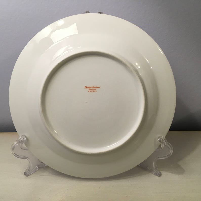 HAVILAND LIMOGES Plate Theodore Haviland 8.75 Luncheon - Etsy
