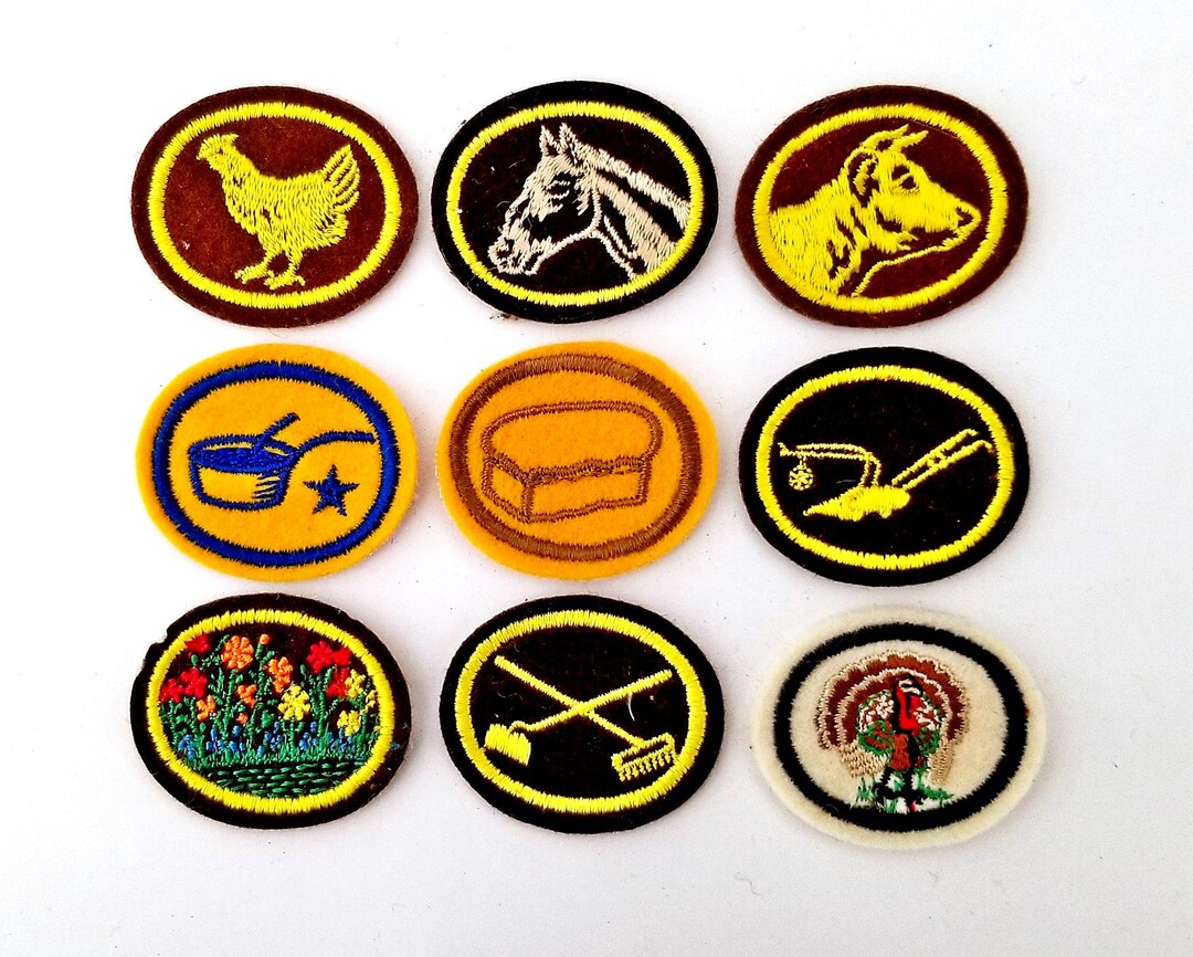 Vintage Seventh Day Adventist Pathfinder Sash Patches - Lot of 9 Felt ...