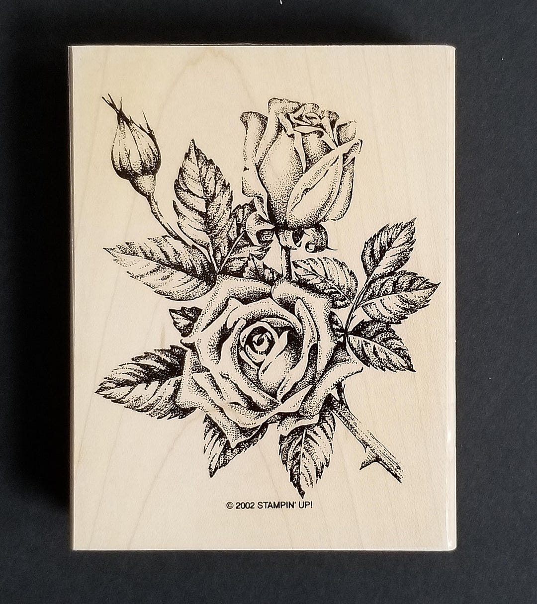Stipple Rose Stamp by Stampin' up 4.5 X 3.5 Rose Lover Stamp 2002 - Etsy