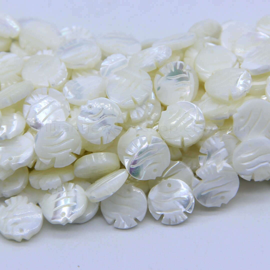 Mother of Pearl Tropical Fish Charm Beads 13mm 15mm, Natural White ...