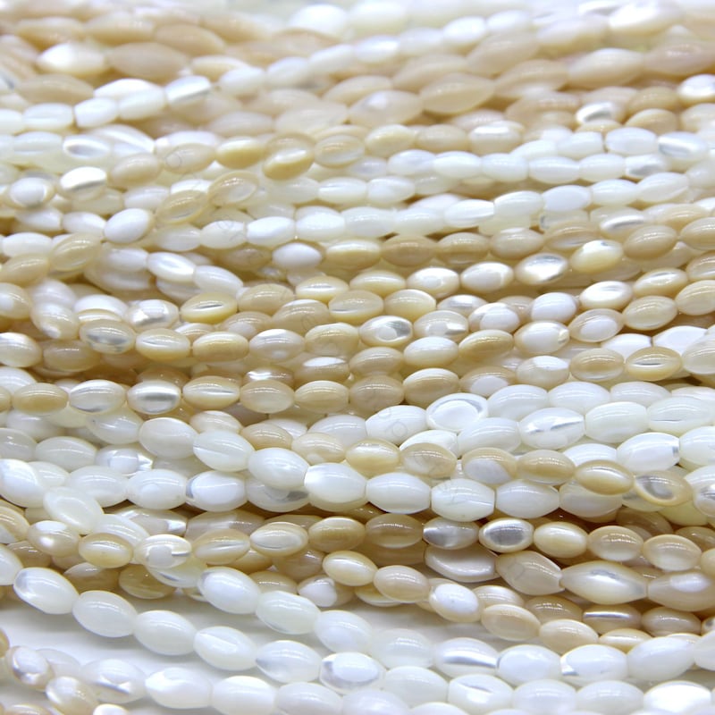 Yellow Rice Shells - Etsy