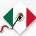 Flag of Mexico Graduation Cap Design Grad Gift Cap Topper - Etsy