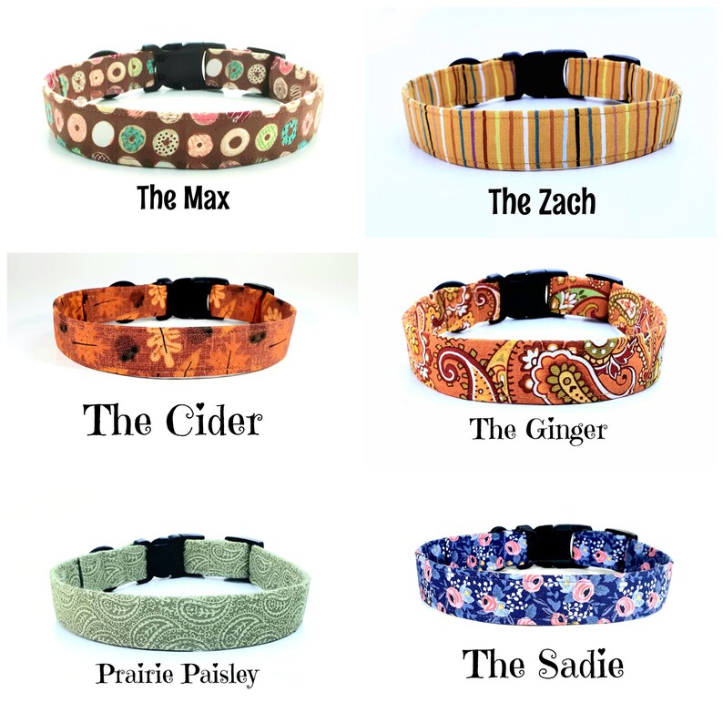 Flower for Dog Collar, Flower Bloom Add on to Pet Collar (collar Not ...