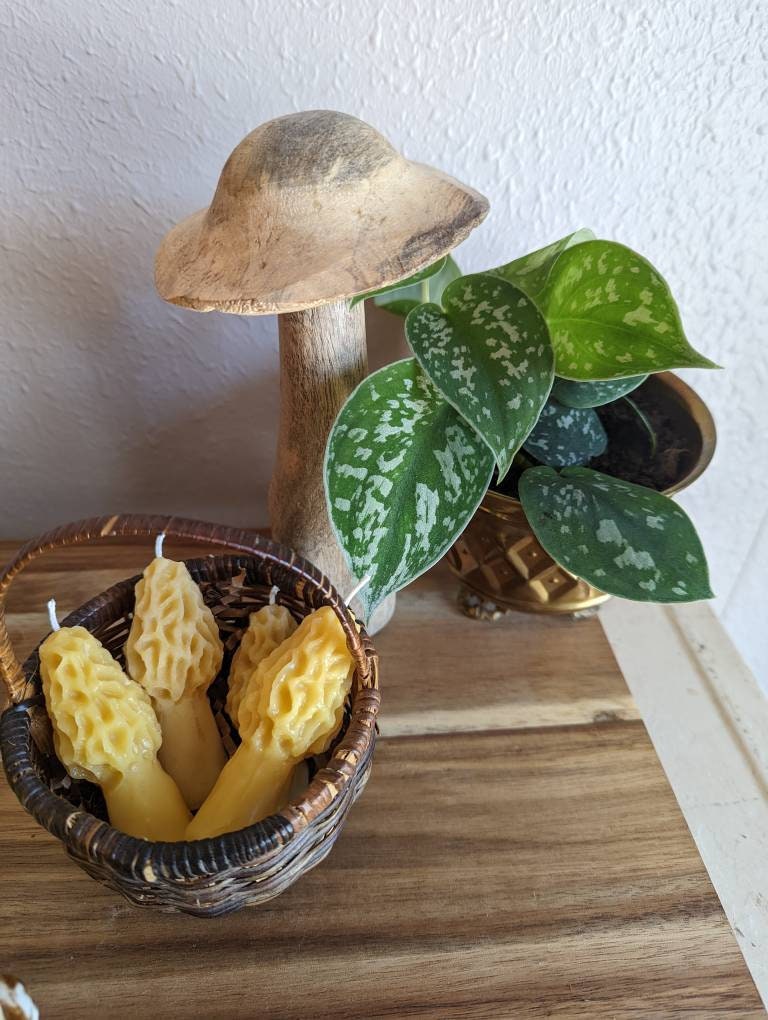 Mini Morel Mushroom Candle - Etsy