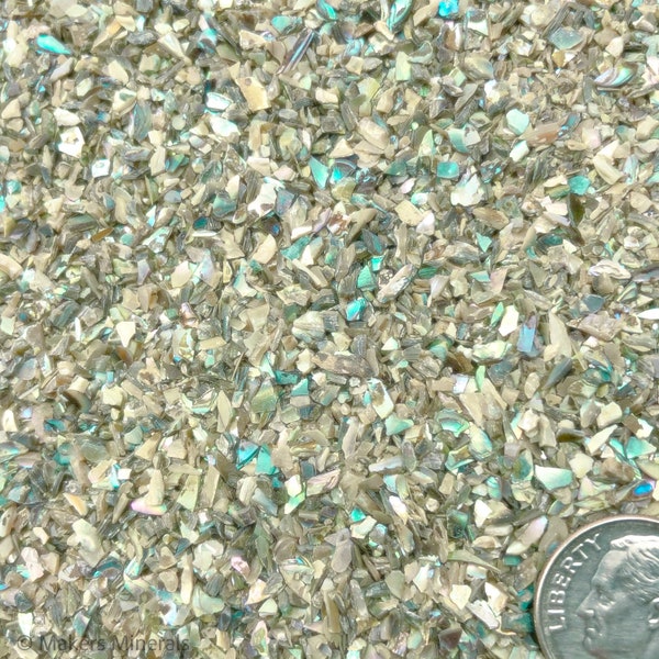 Abalone Shells for Resin Art - Etsy