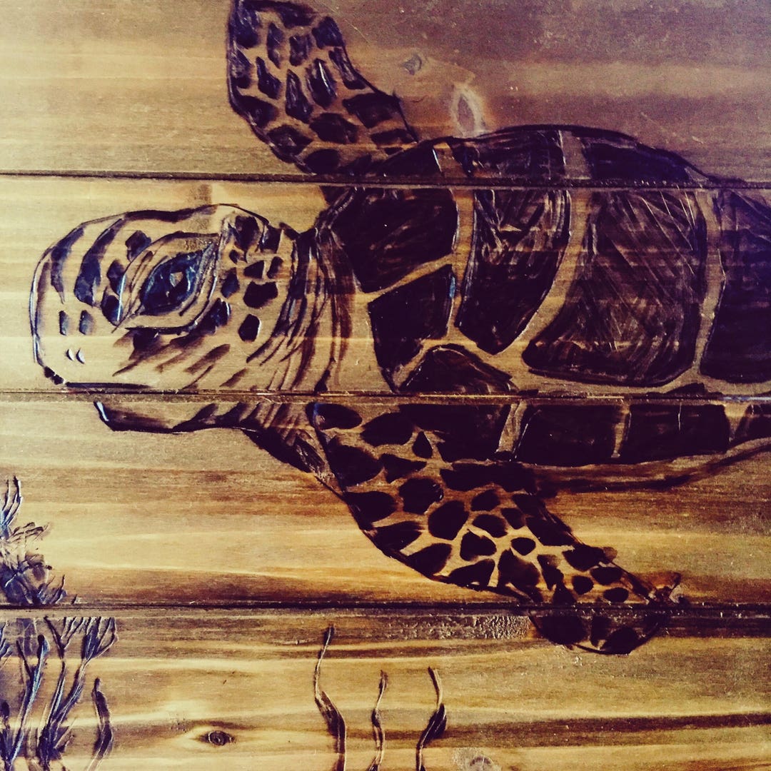 Wood Burned Sea Turtle Art - Etsy